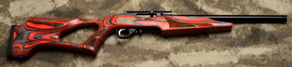Ruger 10/22 Custom Rifles Archives - 1022Ruger.com